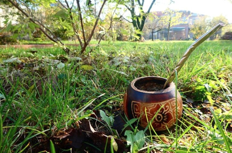 Argentina's Traditions & Customs in a Nutshell - Green Mochila